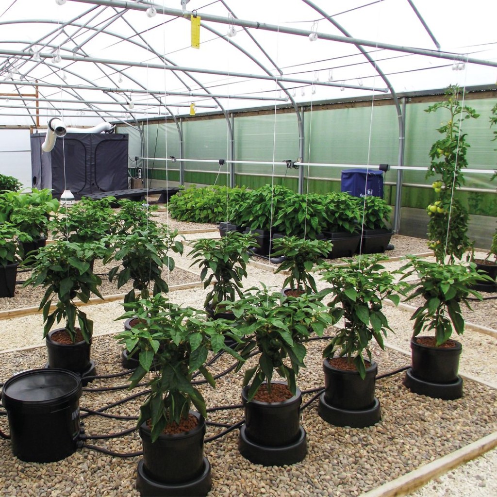 IWS Dripper STD 16mm System - Large Stands - Progrow